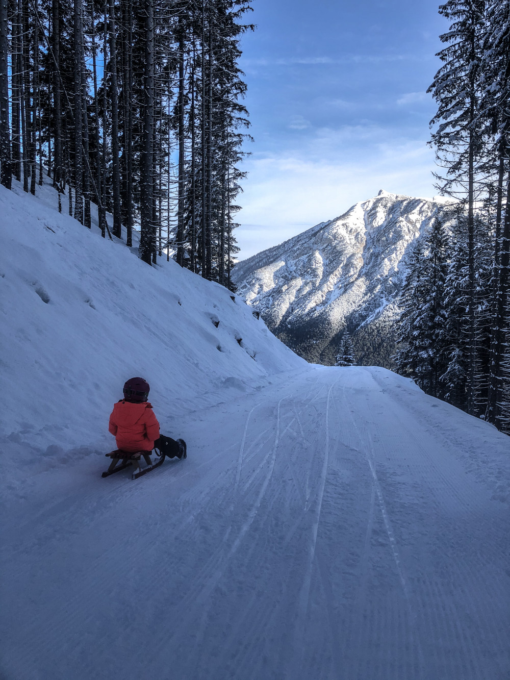 Mountainkid - Rodelbahn am Achensee Zwölferkopf